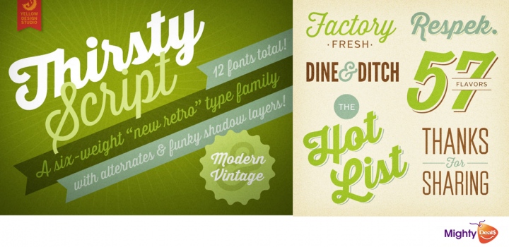 Modern-Yet-Retro Thirsty Script Font Family - only $9! - Go Media ...