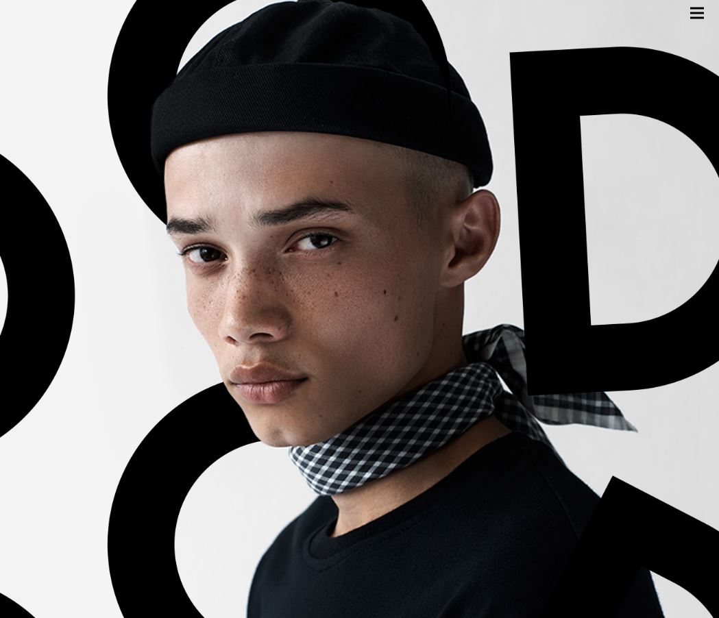 Go Media's Blog | Graphic Design Portfolio Examples
